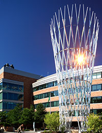 Partners & Collaborators